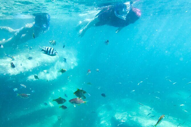 Snorkeling Adventure for Kids with Private Guide In Sydney - The Photos and Memories