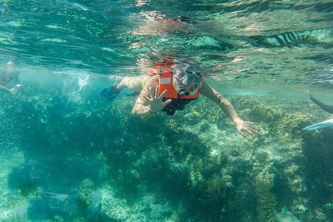Snorkeling Adventure in Isla Mujeres - A Deep Dive into the Snorkeling Adventure in Isla Mujeres