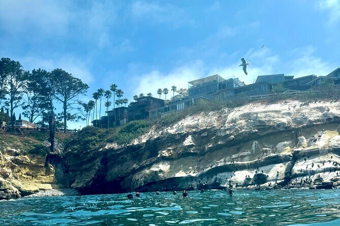 Snorkeling Adventure in La Jolla - FAQ