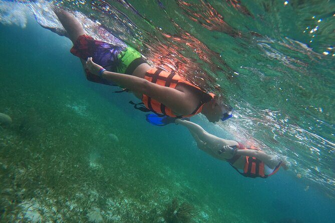 Snorkeling Adventure in Puerto Morelos Includes snack, Water and Round Trip. - The Itinerary: What You Can Expect from Start to Finish