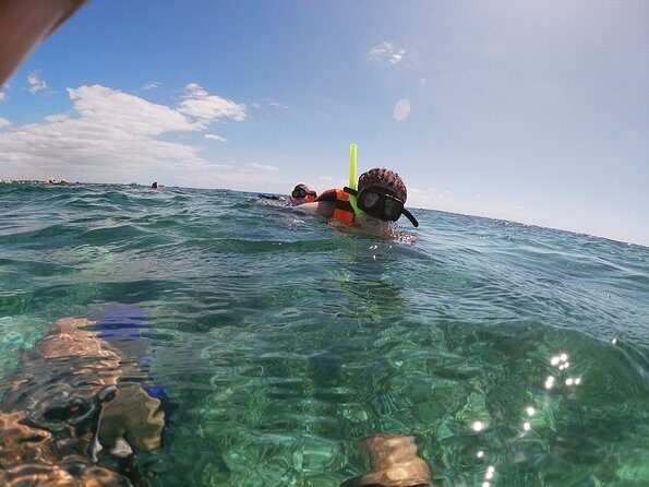Snorkeling Adventure in Puerto Morelos Includes snack, Water and Round Trip. - The Sum Up