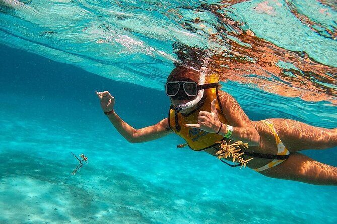 Snorkeling Adventure in Tulum Beach, Kaan Luum Lagoon and Cenote - What to Expect from the Snorkeling Adventure
