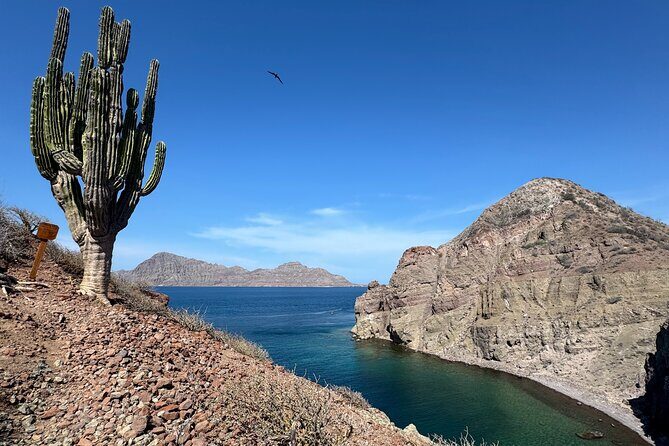 Snorkeling Adventure with Picnic from Villa del Palmar Hotel - The Sum Up