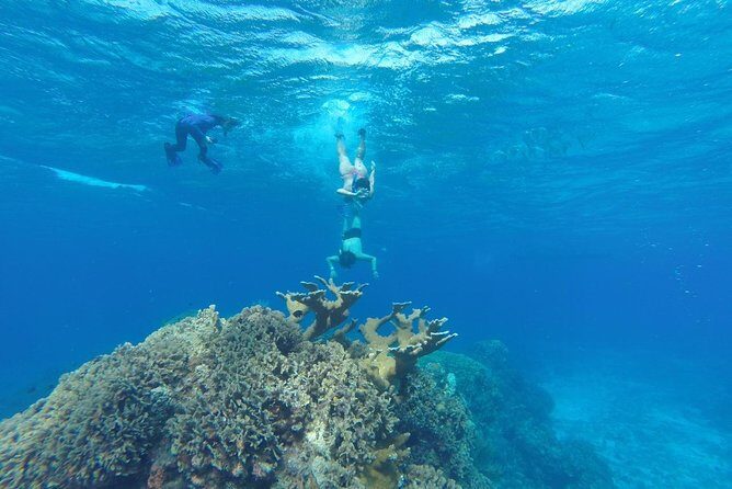 Snorkeling and Beach Club Access in Cozumel with Lunch - Key Points