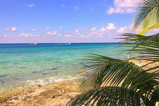 Snorkeling and Beach Club Access in Cozumel with Lunch - Final Thoughts: Who Will Love This Tour?