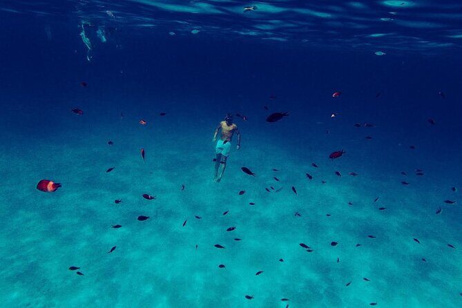 Snorkeling and Diving in the Gulf of Tavolara with Fishing - Practical Details & Tips