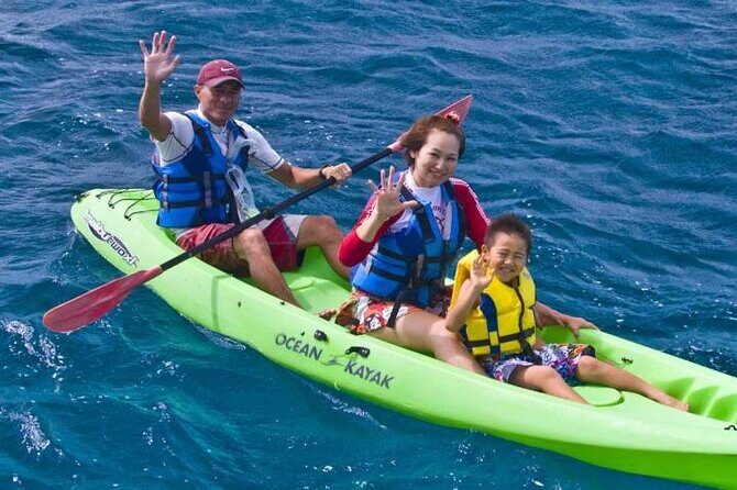 Snorkeling and Dolphin Watching with Lunch Package - Final Thoughts