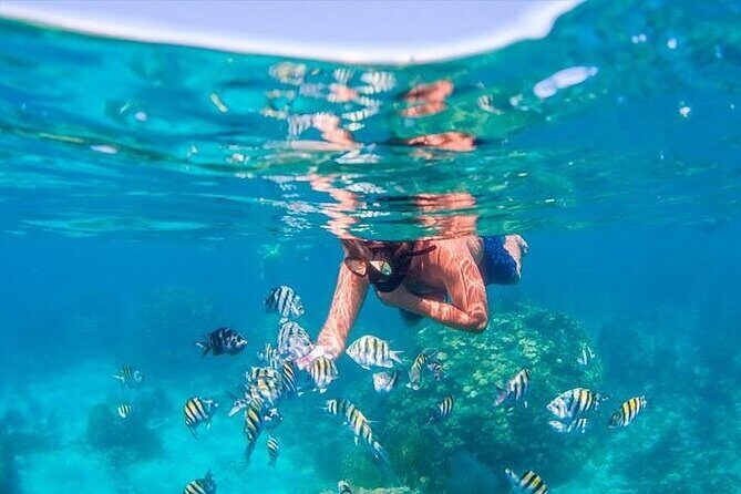 Snorkeling and Parasailing Over the Sea - ''Do It All'' Package - Who Would Love This Tour?