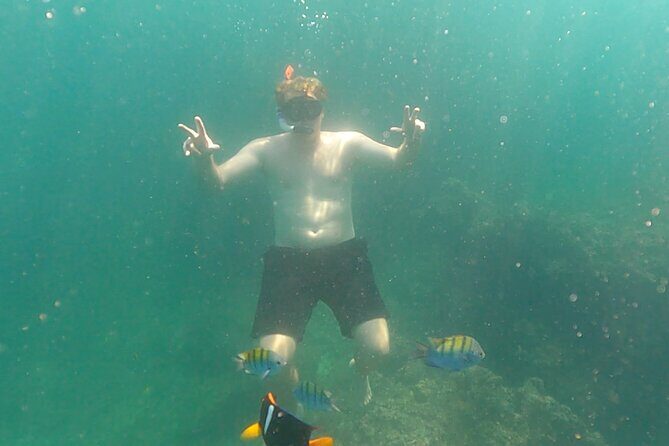 Snorkeling at Los Arcos 5 islands Hidden Beach and Cliff Jumping - Transportation & Timing