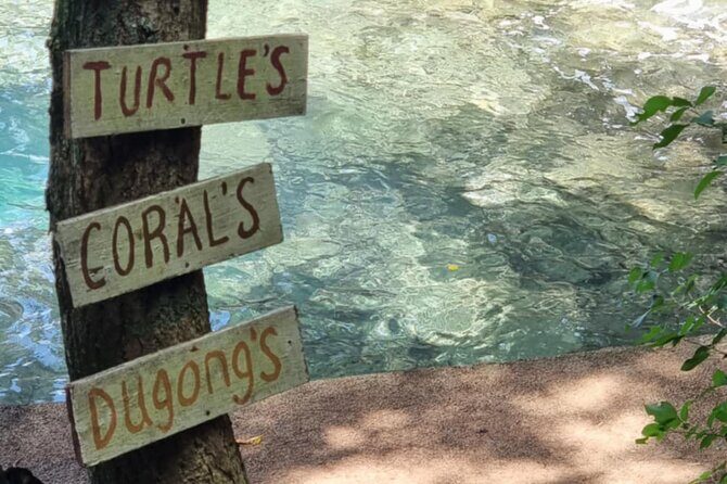 Snorkeling at Top Rock with Yumi Tours - Key Points