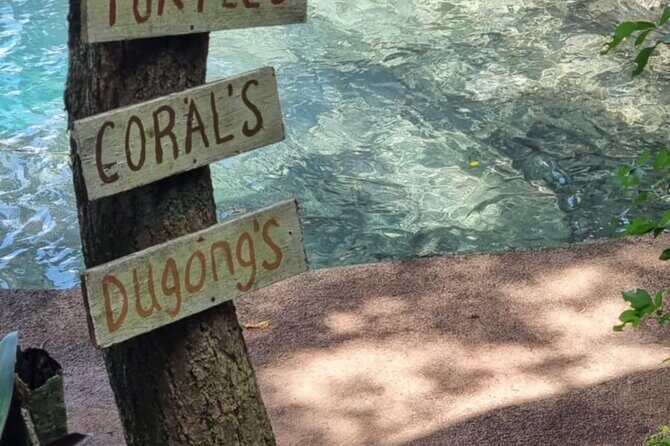 Snorkeling at Top Rock with Yumi Tours - What to Expect from the Itinerary