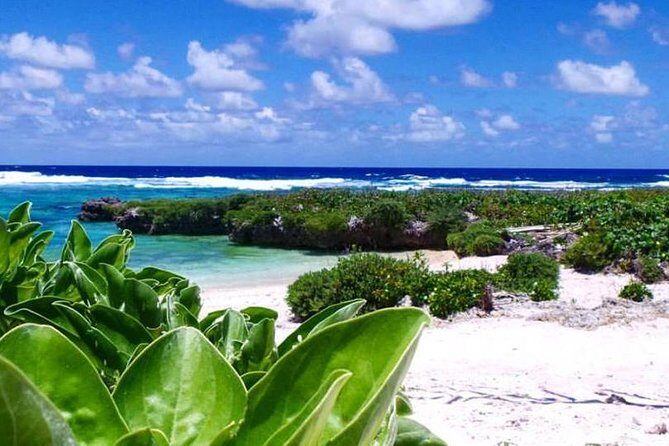 Snorkeling at Top Rock with Yumi Tours - The Logistics and Group Experience