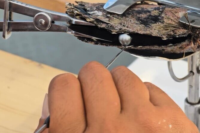 Snorkeling Discovery DE the Black Pearl and Lunch in Bora Bora - Introduction