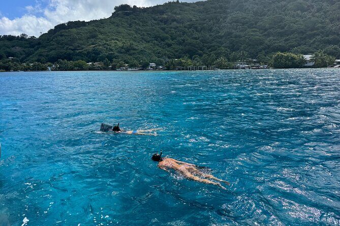 Snorkeling Discovery DE the Black Pearl and Lunch in Bora Bora - Who Is This Tour Best For?