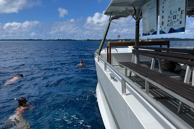 Snorkeling Discovery DE the Black Pearl and Lunch in Bora Bora - Frequently Asked Questions