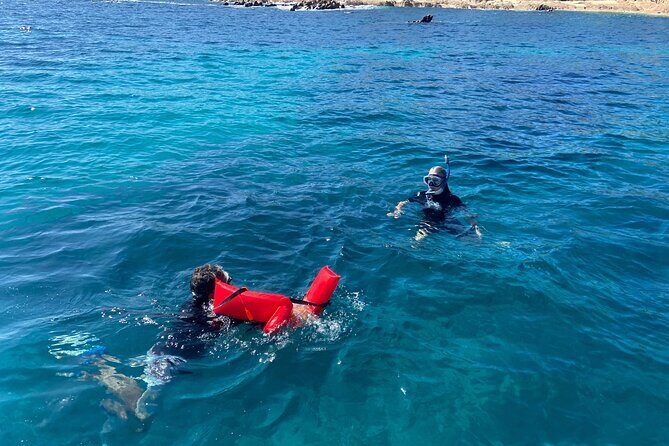 Snorkeling en San José del Cabo , Lunch , Snack , Drinks - Key Points