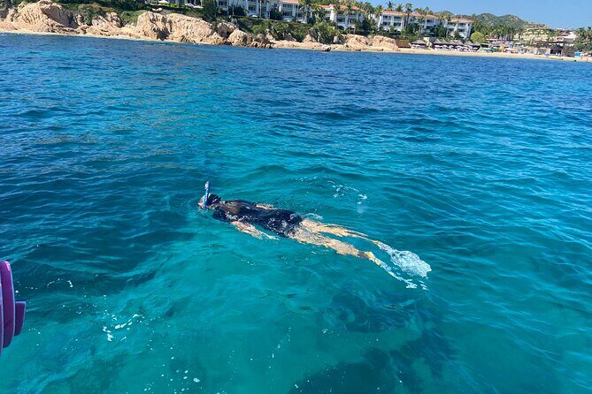 Snorkeling en San José del Cabo , Lunch , Snack , Drinks - The Vibe: Small Group, Expert Guides, and Sustainable Focus
