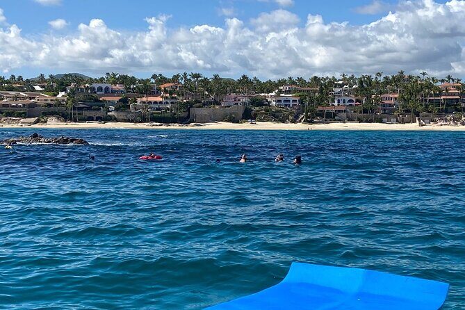 Snorkeling en San José del Cabo , Lunch , Snack , Drinks - Authentic Marine Encounters: What Reviewers Tell Us