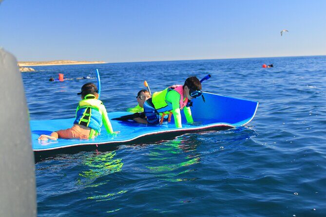 Snorkeling en San José del Cabo , Lunch , Snack , Drinks - FAQ