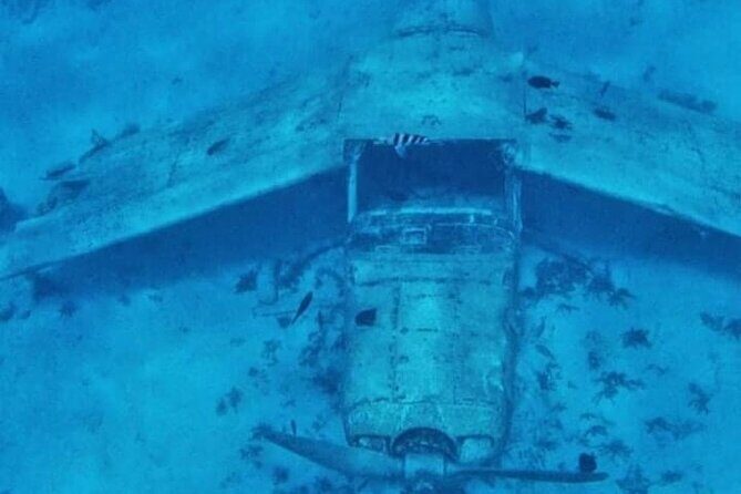 Snorkeling EN Small Group Tour in Tahiti - FAQ