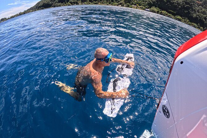 Snorkeling EN Subwing in Tahiti - Overview and Highlights of the Experience