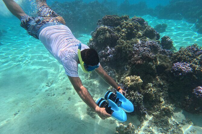 Snorkeling EN Underwater Scooter in Tahiti - Key Points
