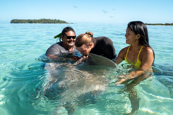 Snorkeling excursion and encounter with marine fauna in Moorea - The Itinerary: What to Expect