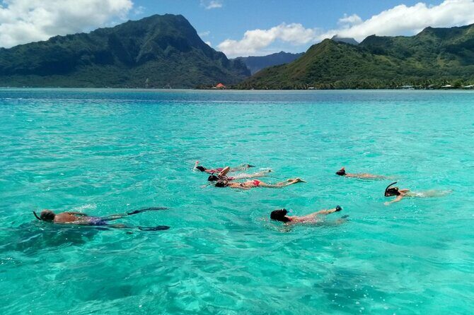 Snorkeling excursion and encounter with marine fauna in Moorea - FAQs