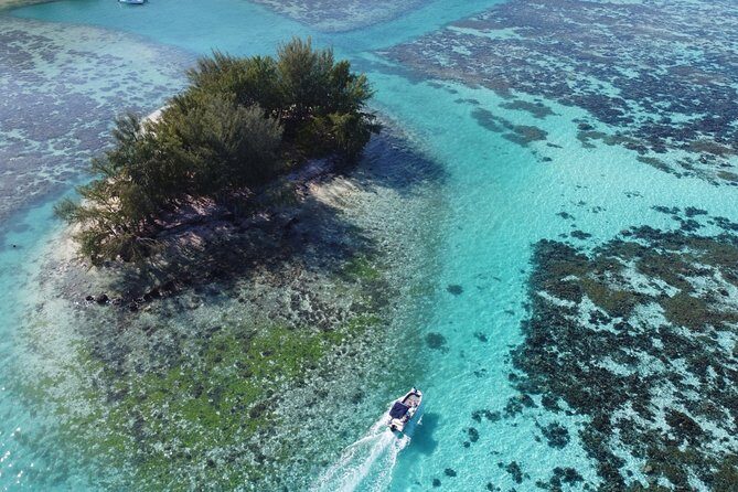 Snorkeling excursion, discovery of the lagoon, small group. - Who Might Want to Consider Other Options?