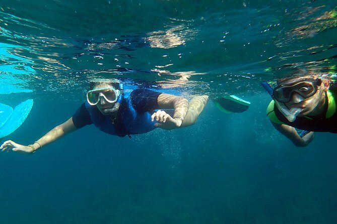 Snorkeling excursion in Isla de Tabarca - Introduction: An Overview of the Experience