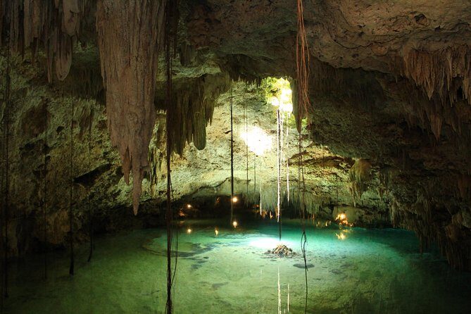 Snorkeling Expedition in Cancun and Riviera Maya (underwater World) - An In-Depth Look at the Tour Itinerary