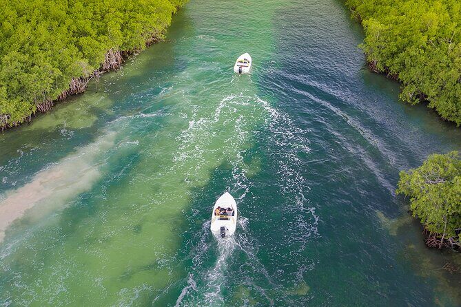 Snorkeling Experience in Cancún with Speedboat (Couple) - Practical Details and Comforts
