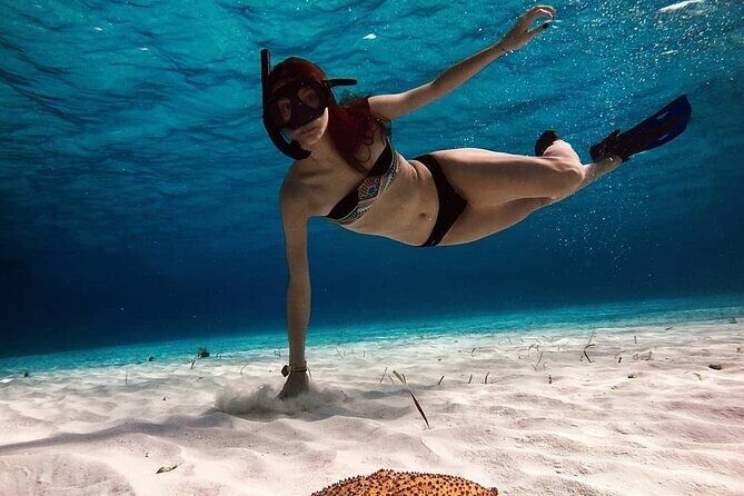 Snorkeling Experience in Cozumel with Transportation from Cancun - Exploring the Snorkeling Experience in Cozumel from Cancun: An In-Depth Review