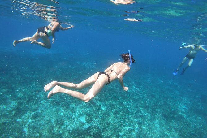 Snorkeling Experience in Cozumel with Transportation from Cancun - Real Insights from Reviews