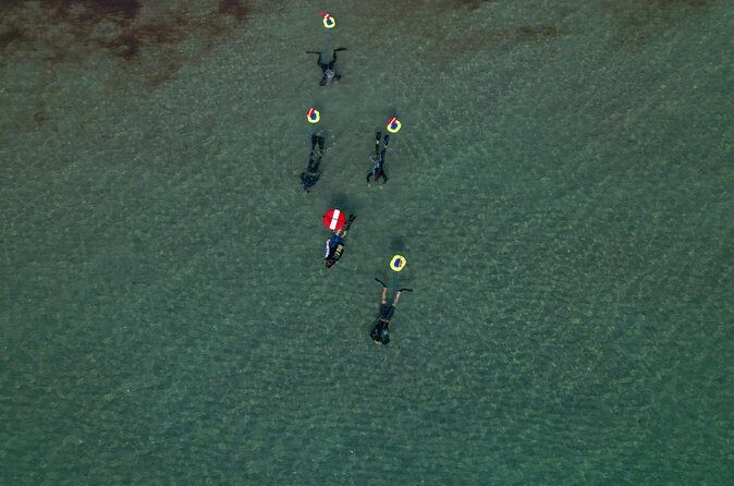 Snorkeling Experience on a NEMO Diving System - The Sum Up