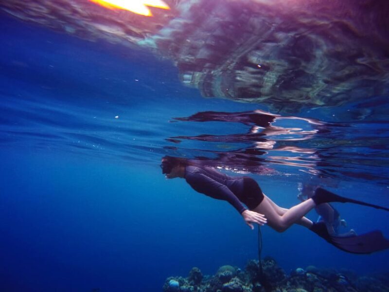 Snorkeling for beginners in crystal clear sea of Halkidiki - The Guides and Their Impact