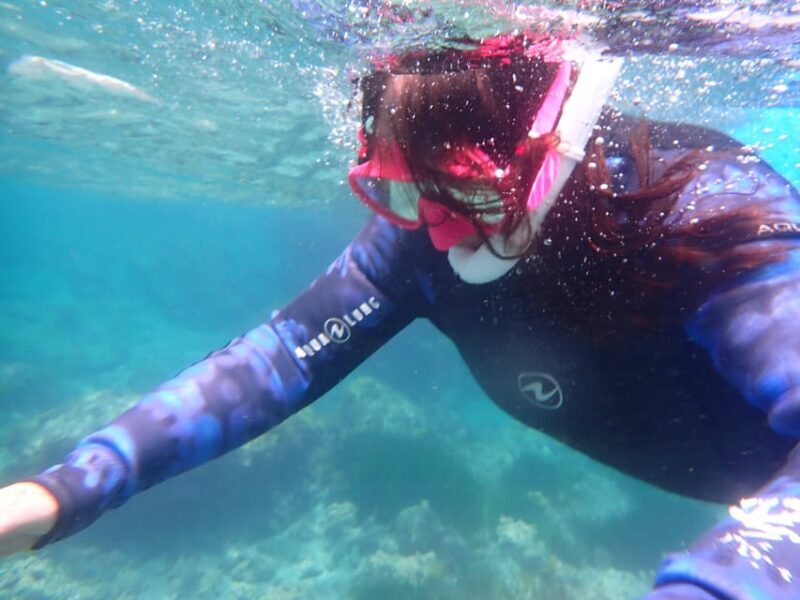 Snorkeling guided tours for tha all family! - Key Points