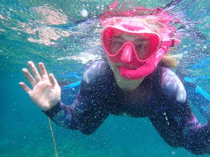 Snorkeling guided tours for tha all family! - What’s Included & What to Consider