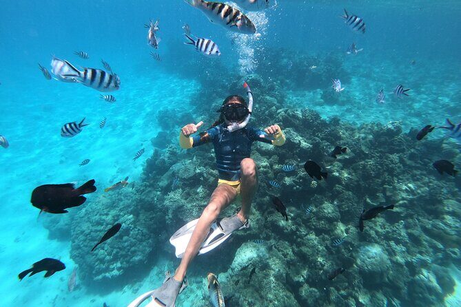 Snorkeling immersion in the wonders of Tahiti - FAQs