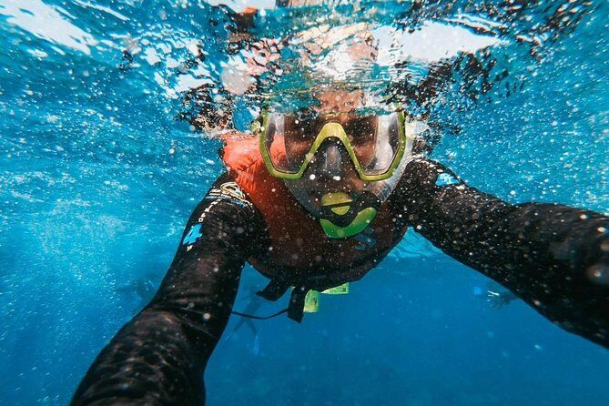 Snorkeling in Gran Canaria with Hotel Pick-up - Why This Tour Delivers Value