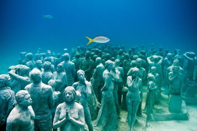 Snorkeling in Isla Mujeres and Underwater Museum - The Itinerary: A Closer Look at What Youll Experience