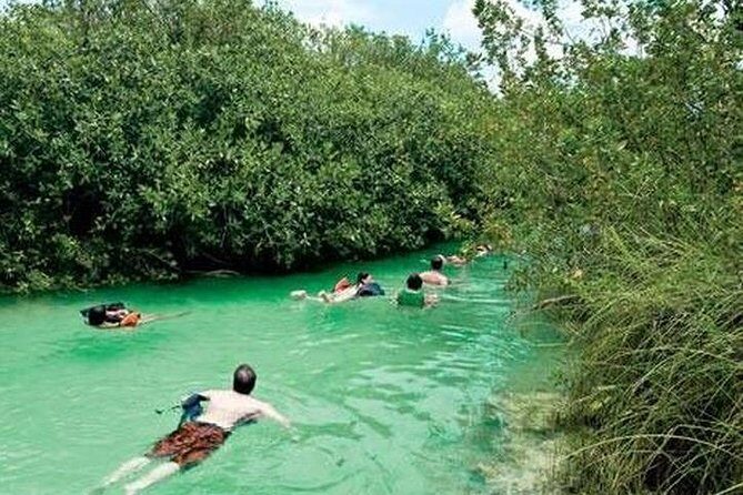 Snorkeling in Sian Ka'an - Evaluating the Value