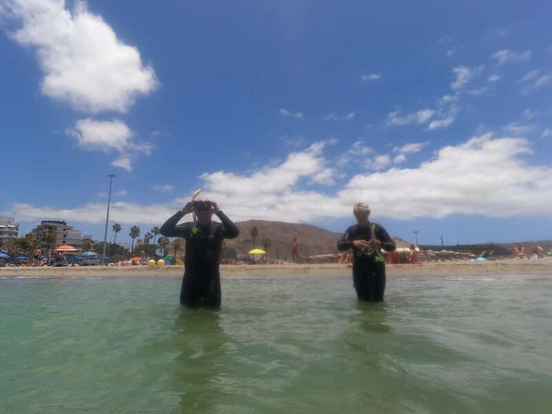 Snorkeling in tenerife south: Discover the underwater world - The Complete Experience: What to Expect