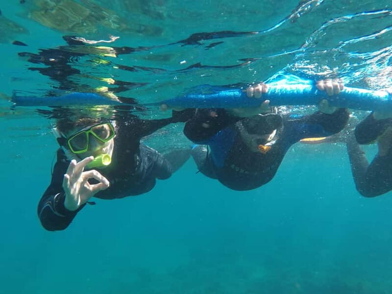 Snorkeling in tenerife south: Discover the underwater world - Practical Tips for Your Snorkeling Adventure