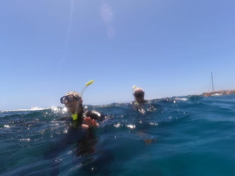 Snorkeling in tenerife south: Discover the underwater world - The Sum Up
