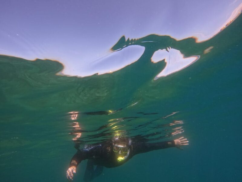 Snorkeling in tenerife south: Discover the underwater world - FAQ