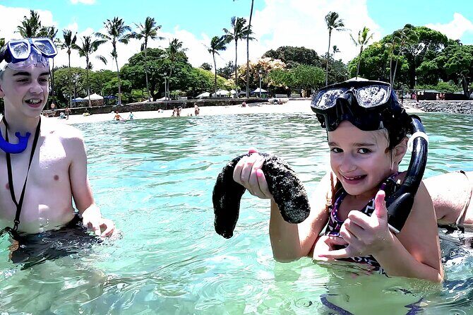 Snorkeling in Waikiki Many Fish All Levels Free Video & Pics! - Key Points