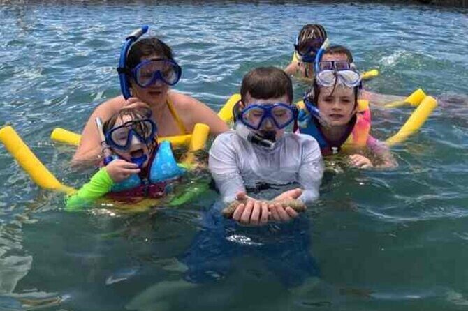 Snorkeling in Waikiki Many Fish All Levels Free Video & Pics! - Practical Tips for Your Snorkeling Experience