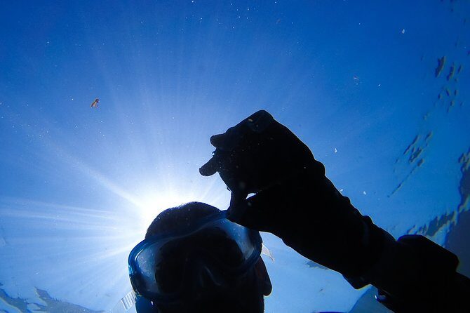 Snorkeling - Marine Park Discovery - Snorkeling - Marine Park Discovery: An In-Depth Review