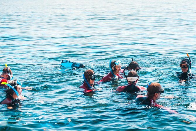 Snorkeling - Marine Park Discovery - Deep Dive into the Itinerary